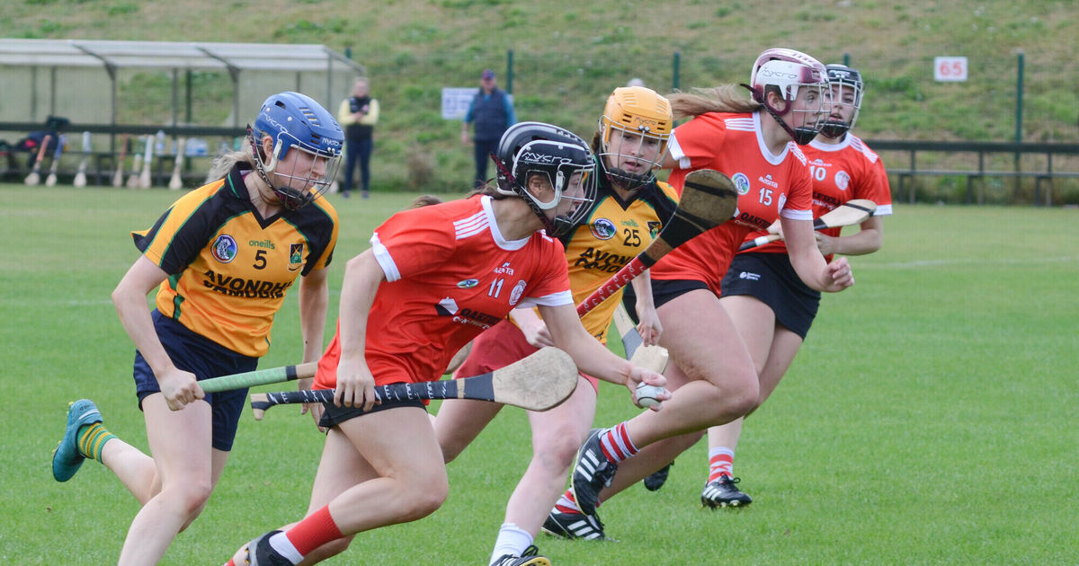 Cork camogie champions Seandún too slick for Avondhu