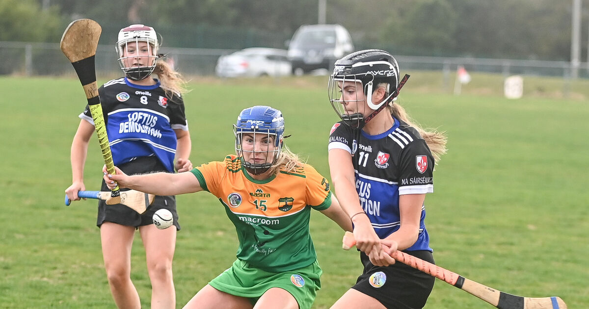 Cork Camogie: Two Lucy Allen goals give Sarsfields a win over Cloughduv