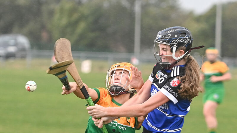 Cork Camogie: Sarsfields in total control against Newcestown