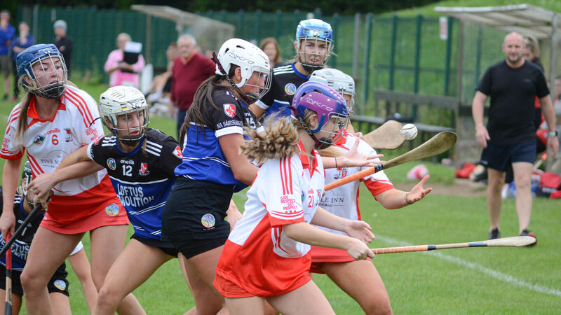 Sarsfields move into camogie quarter-finals unbeaten despite ...
