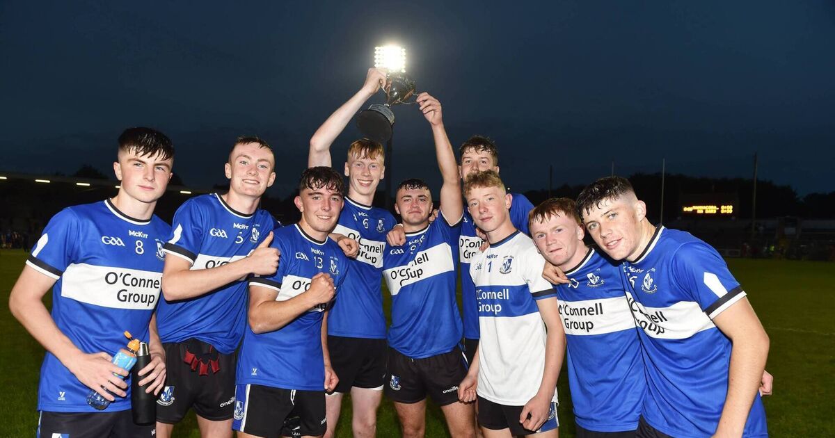 Sarsfields capture Premier 1 Hurling Shield with big win over Glen Rovers