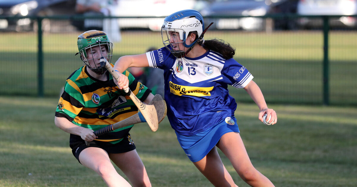 Cork Camogie: Linda Mellerick's Senior Camogie quarter-finals verdict