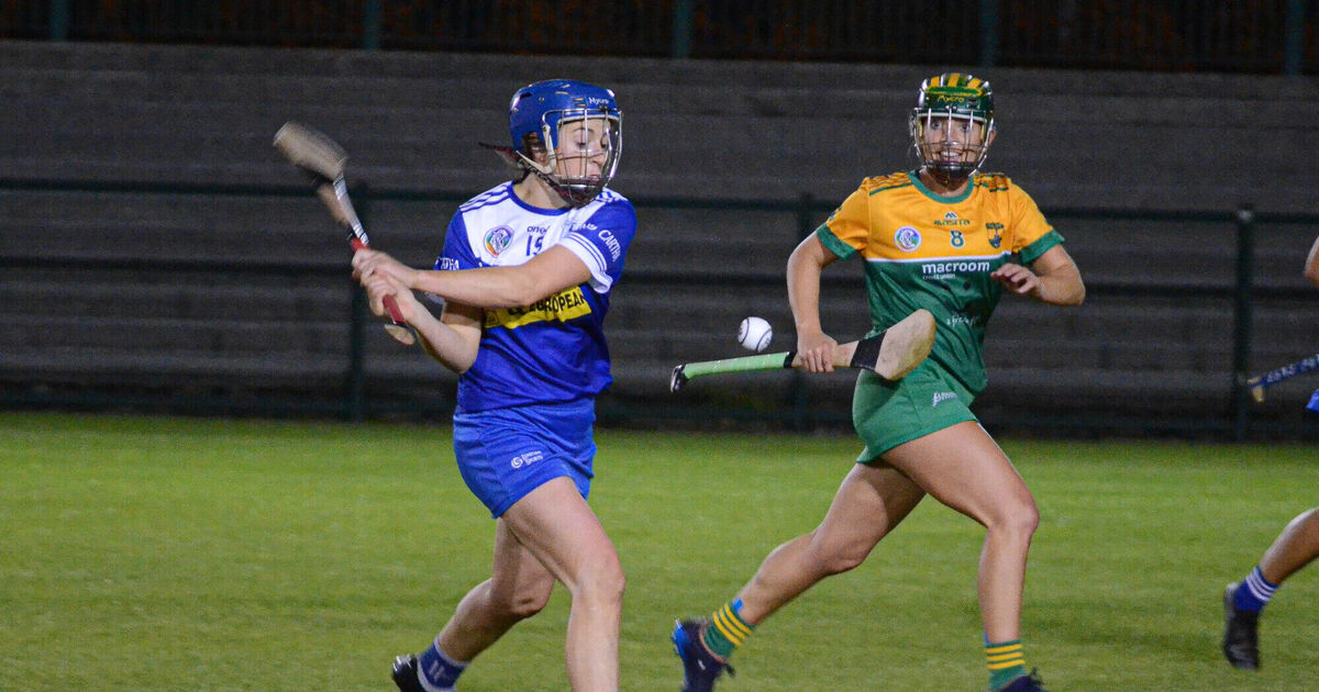 Cork camogie: Aileen Sheehan strikes late as Inniscarra edge out Cloughduv