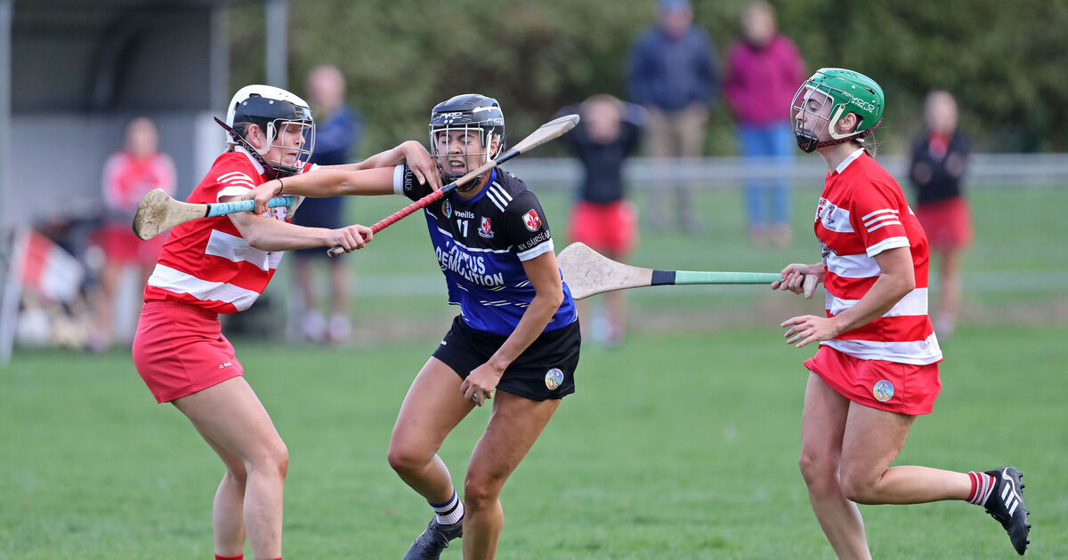 Cork Camogie: Sars through to last four after cracking clash with Courceys