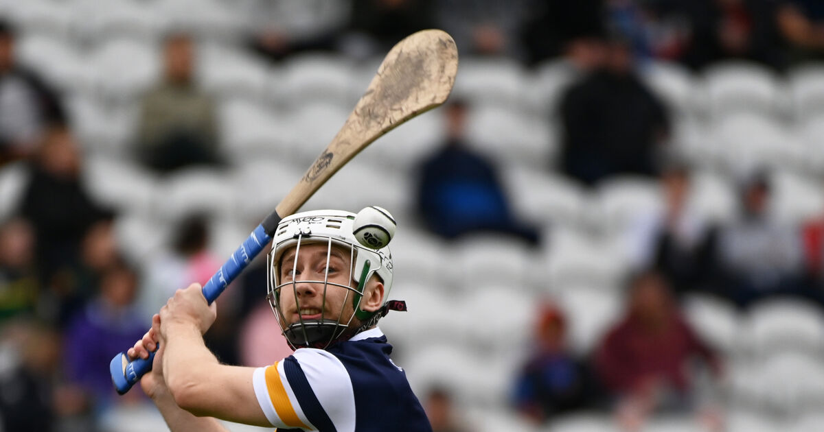 Games of the Year: Shane Hurley’s save lifted St Finbarr's after ...