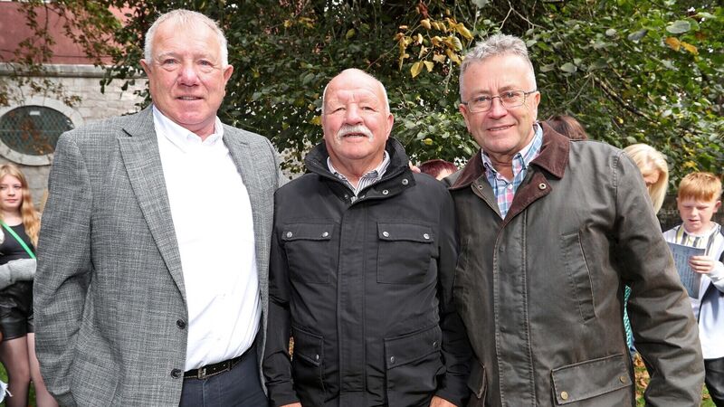 The Buckley boxing family from Mallow will be honoured at a special ...