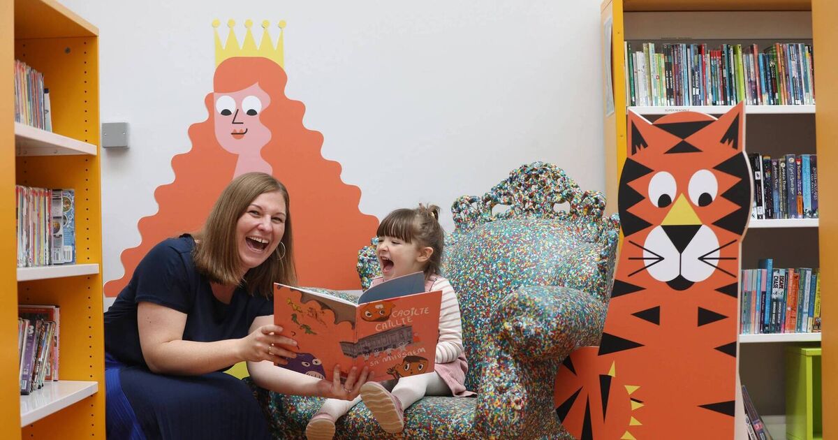 Picture This guide breaking down barriers to reading