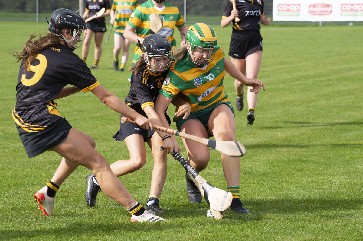 Blackrock see off Na Piarsaigh to reach intermediate camogie final
