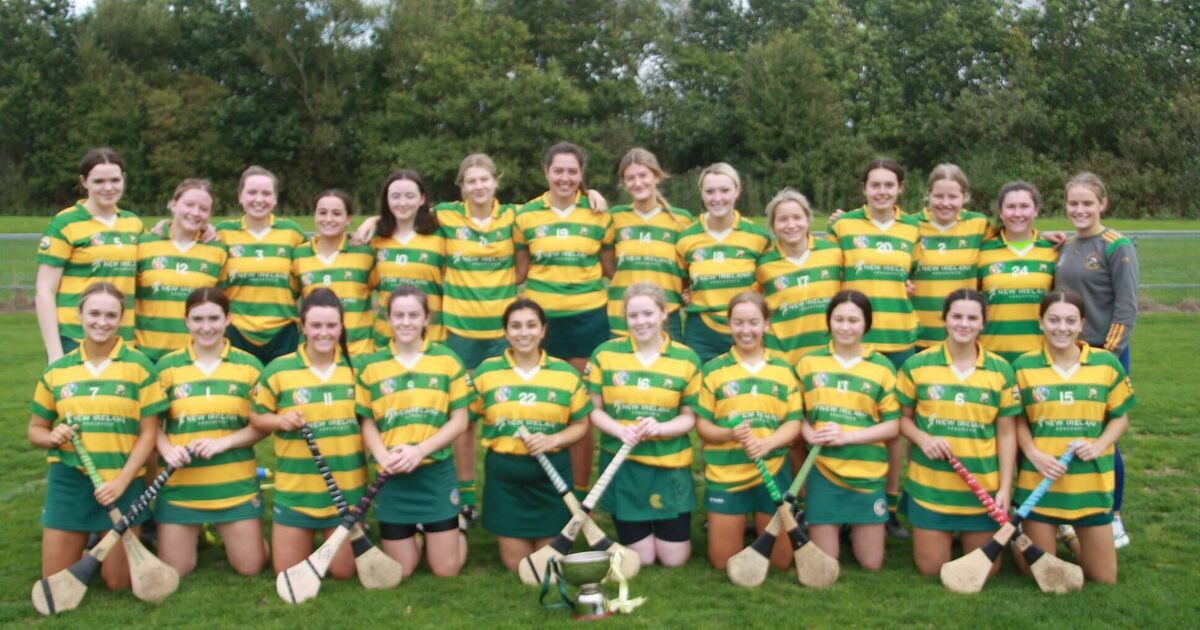A late goal and point seals the junior camogie championship title for ...