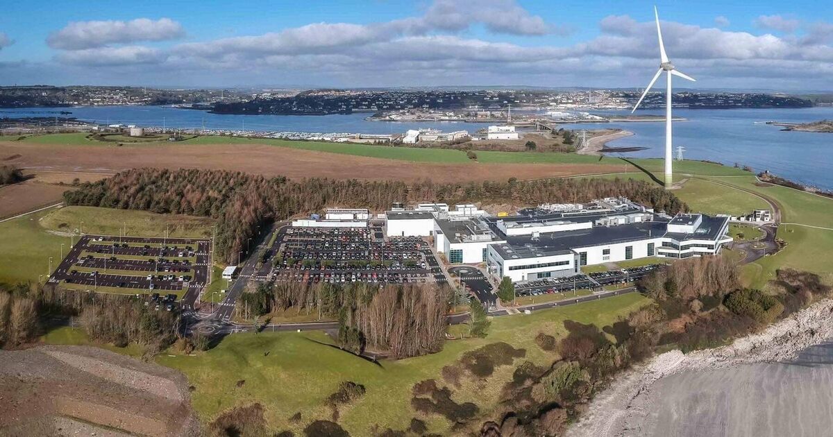 SIPTU calls for meeting with senior Cork figures over union dispute