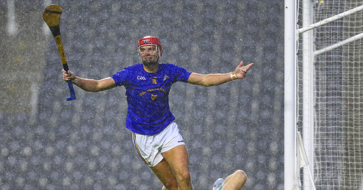 John Horgan: New generation of Barrs hurling heroes has emerged