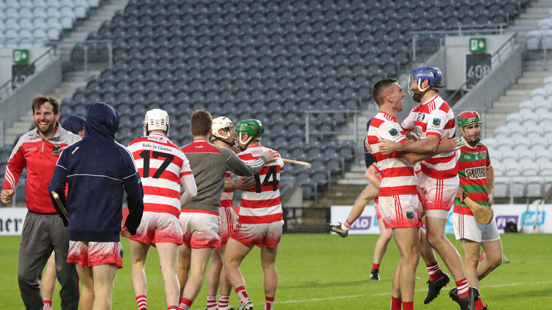 Ballygiblin can now focus on another Munster title after big display at ...