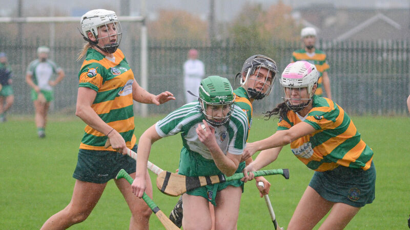 Cork camogie: Rockies and Aghabullogue collide again as Ballinhassig ...