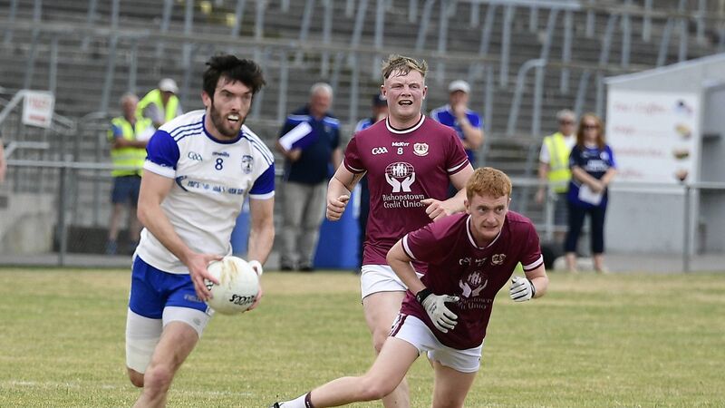 Paudie Palmer: Knocknagree's remarkable rise will be fully tested by St ...