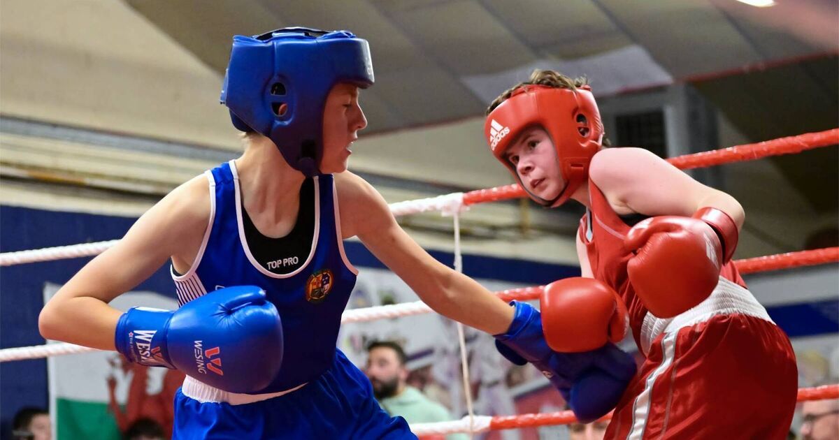 Cork Boxing Board plan new measures to create unity between clubs