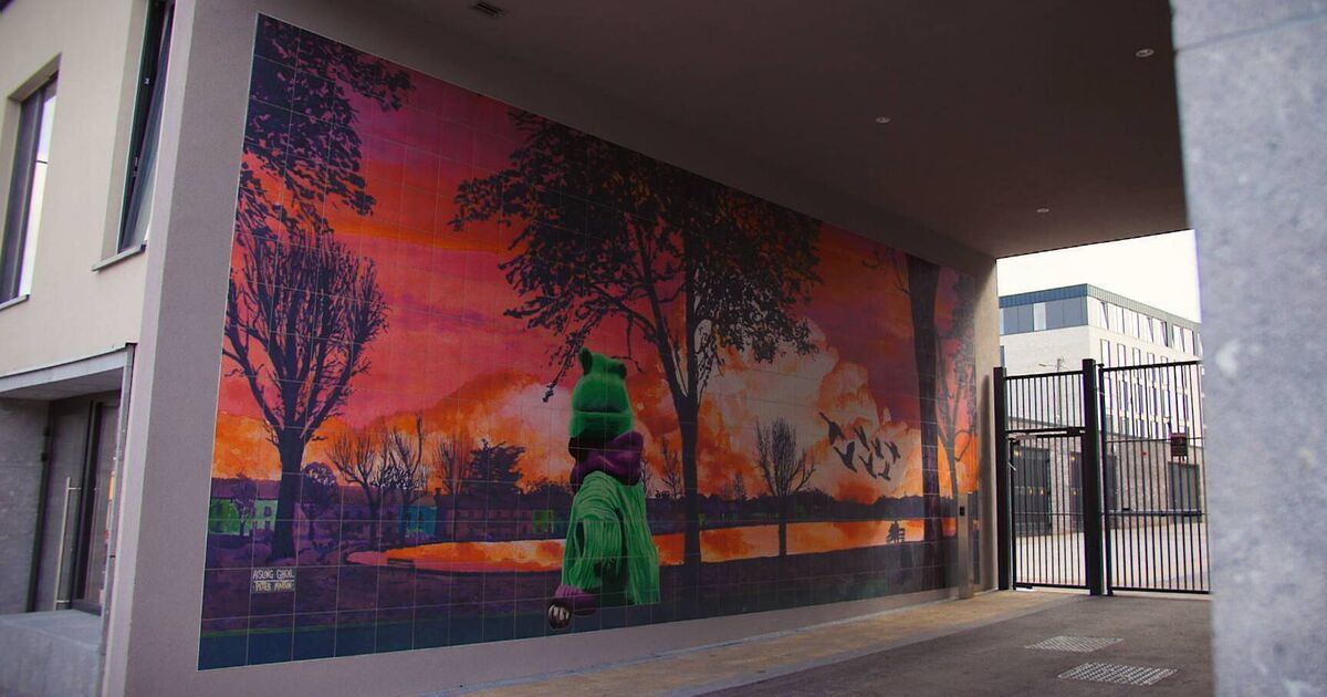 Mural unveiled at new student apartments in Cork city