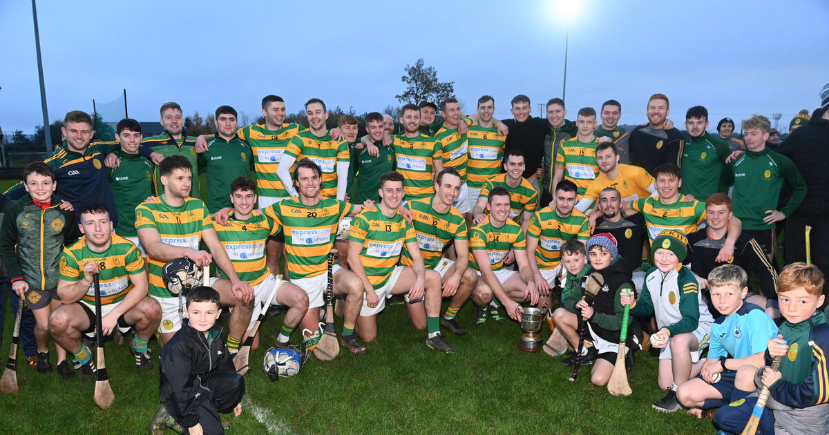 Louis Mulqueen signs off as Blackrock boss with hurling league win over ...