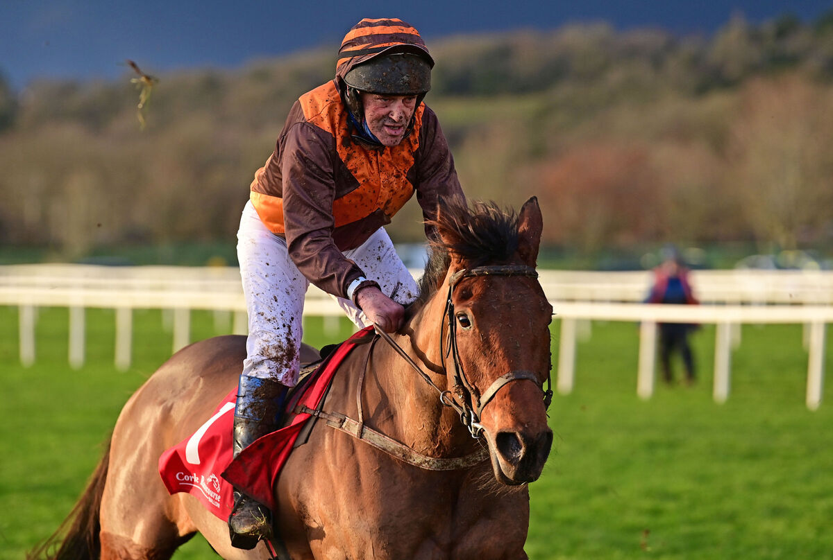 Liam Burke still shining in the saddle aged 65 while his son secures a ...