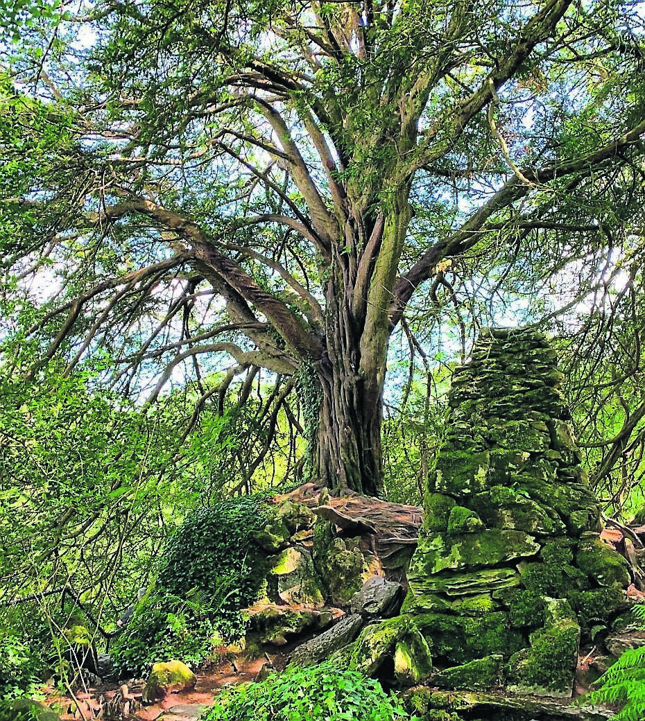 Now is the time to protect and serve as icy snap arrives