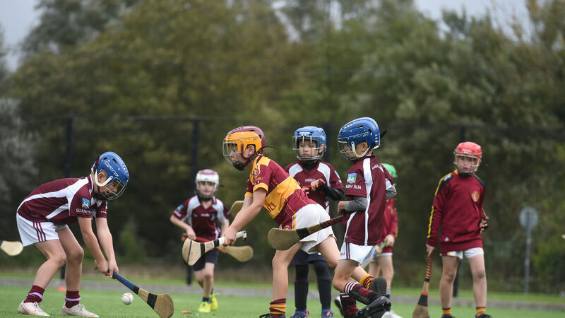 Ballymartle building new astro facility to cater for young players in ...