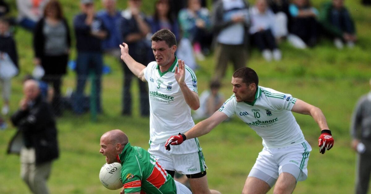 Martin O'Brien will bring drive and energy as new Clonakilty football boss