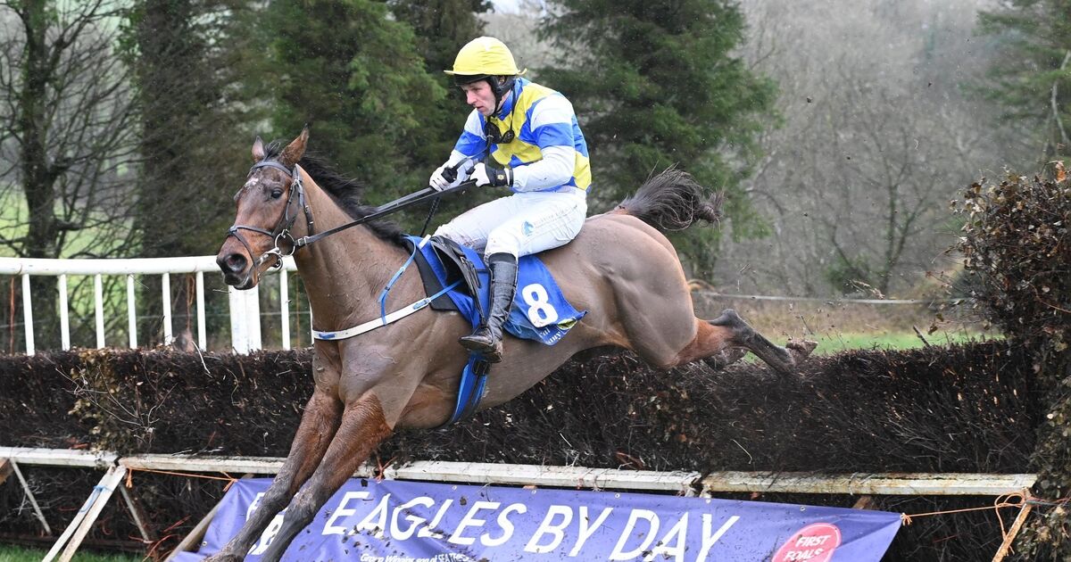 Cork Racing: Declan Queally trained Rocky’s Howya lights up ...