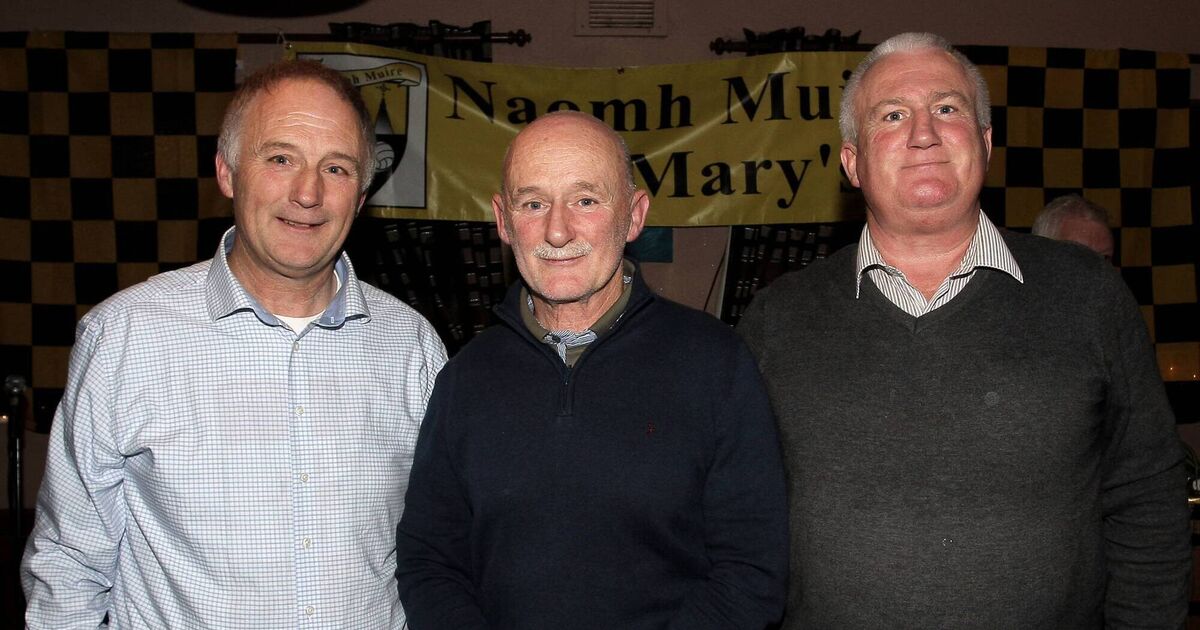 Cork GAA: St Mary's celebrate 1980 Carbery Junior B Football title