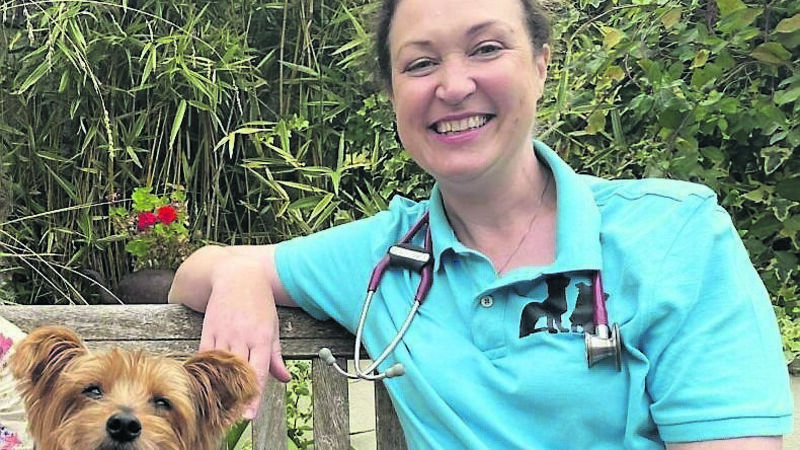 Can't cope with your canine? Dog problems solved in new Irish TV show