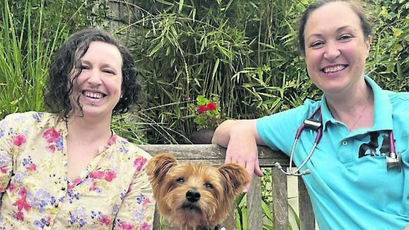 Bantry vet co-hosts Irish language show