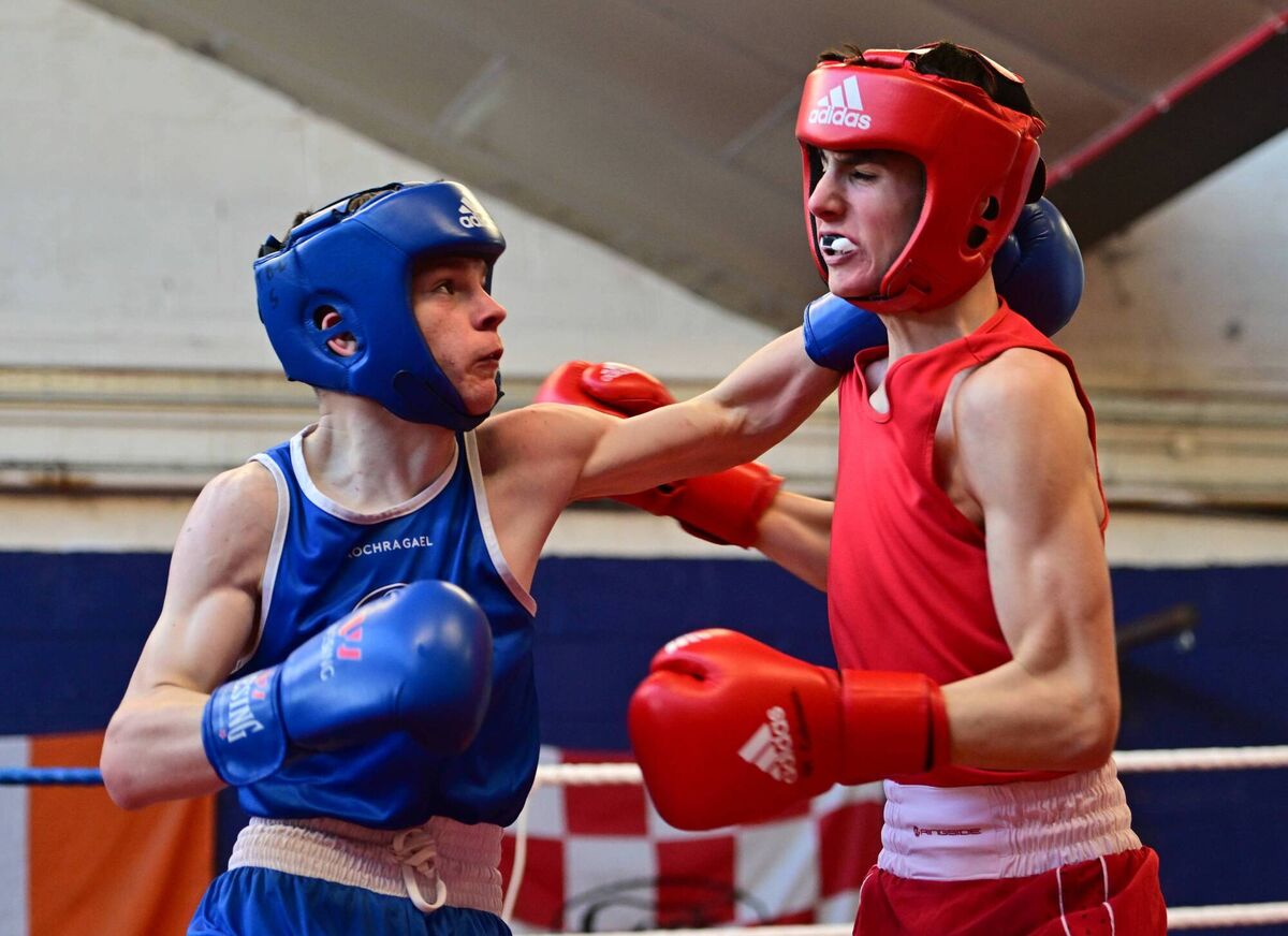 Cork Boxing: Underage bouts a knockout success