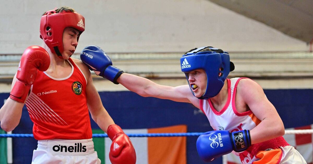 Cork Boxing: Underage bouts a knockout success