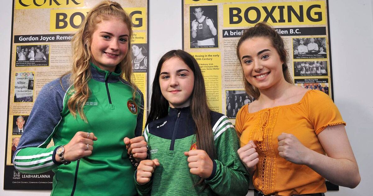 The Cork County Board specifically designed County Boxing Championship ...