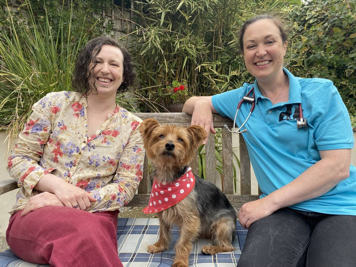 Cork vet solves pooch problems on new TV show