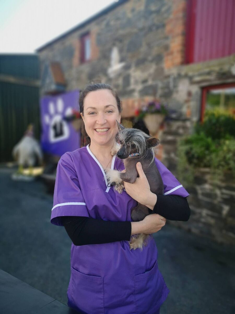 Cork vet solves pooch problems on new TV show