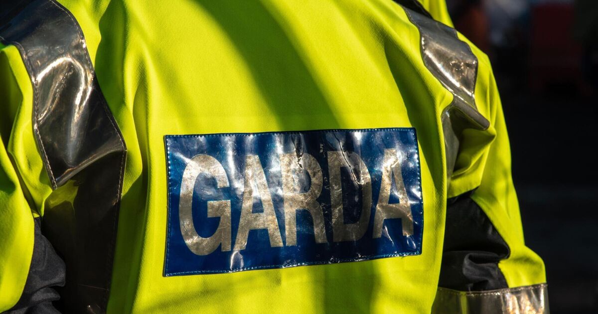 Garda tackled into bushes by man interrupting arrest