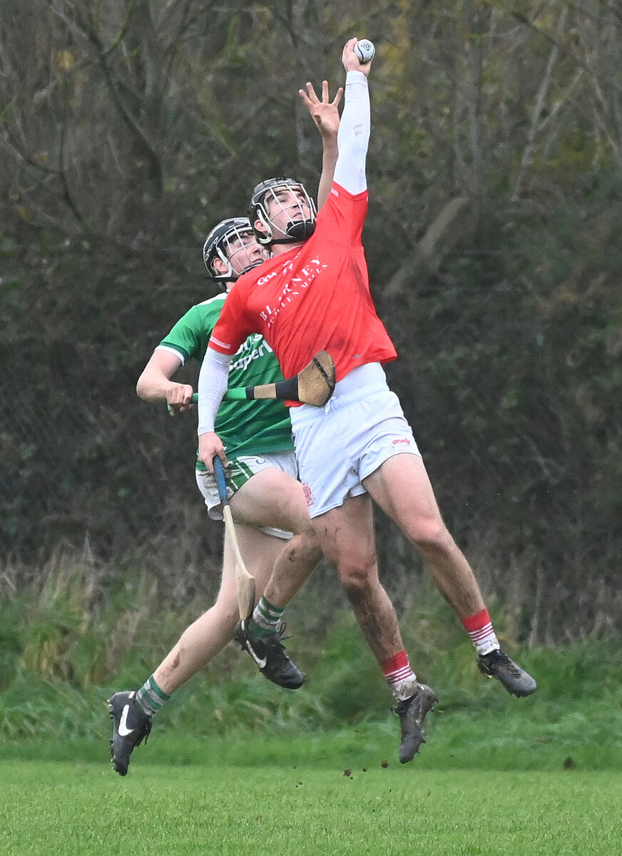 Hurling talking points: Cork's options, Limerick's class and exciting ...