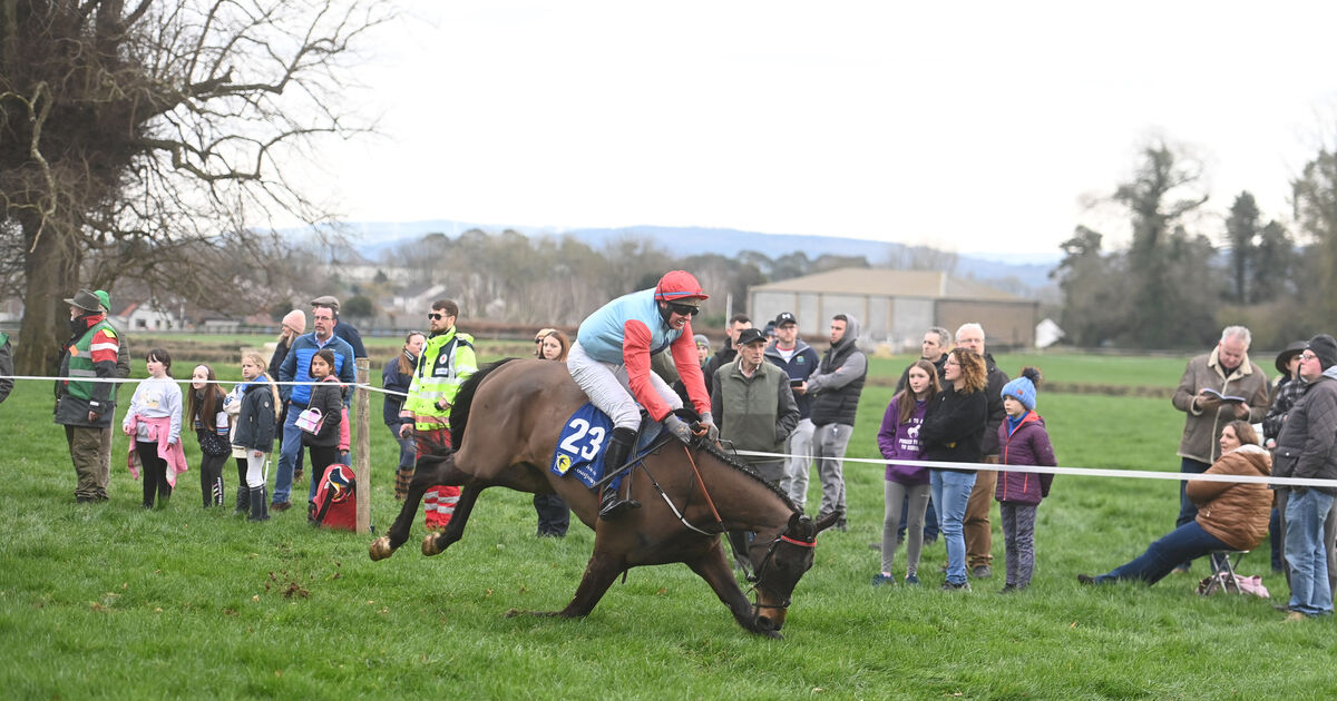 Declan Queally continues his rich vein of form by sending out two ...