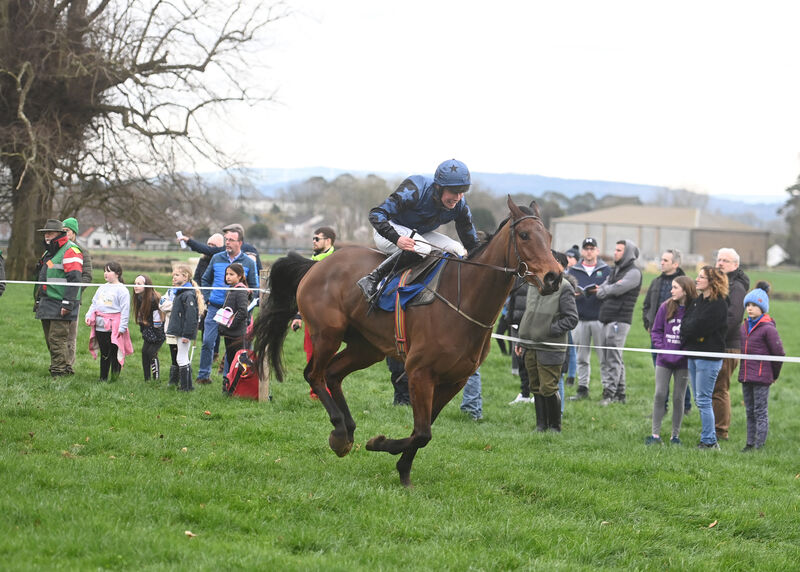 Declan Queally continues his rich vein of form by sending out two ...