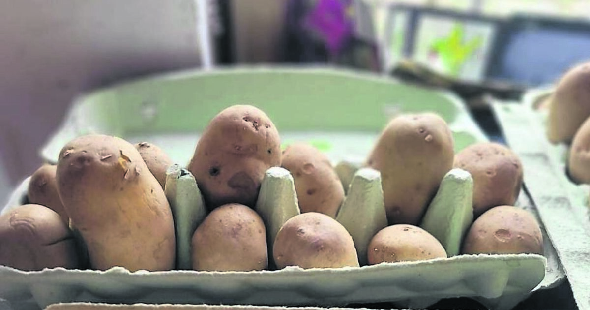 It's time to prepare your spuds ahead of March 17