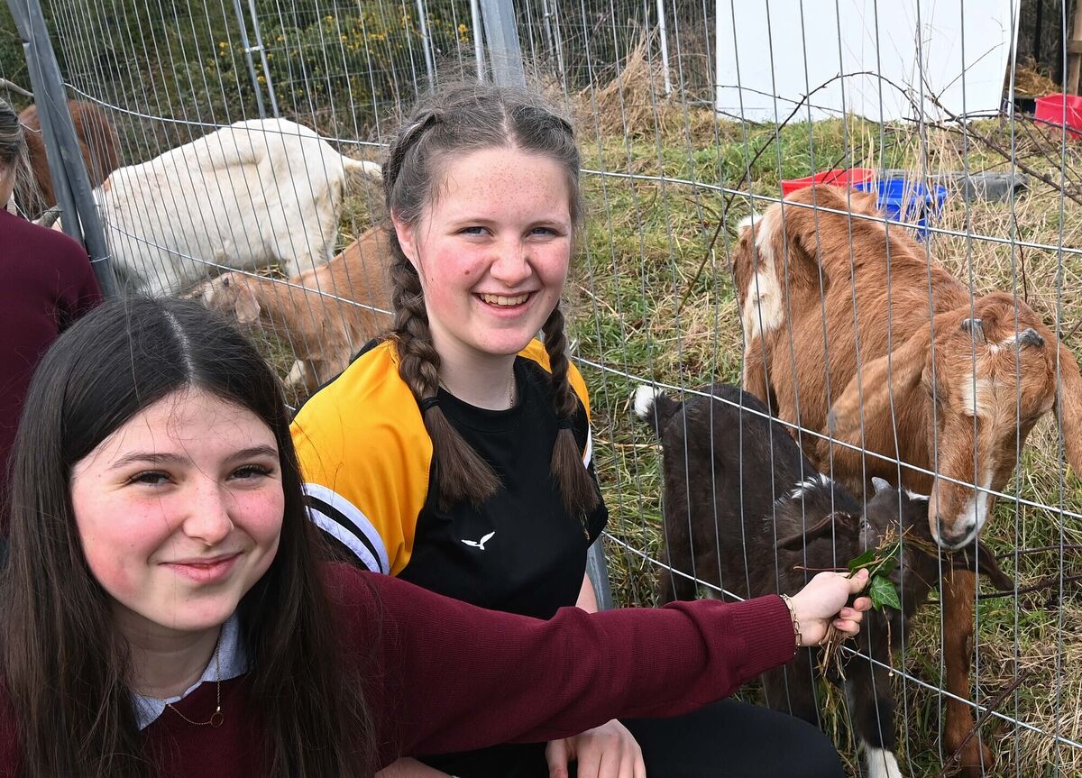PICS: Caretaker goats a big hit at Cork school