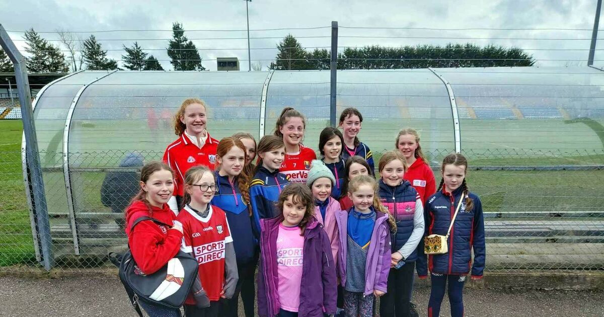 Lisgoold ladies footballers get a Lidl bit of help to improve mental health