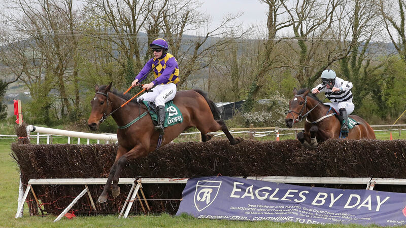 Rocky’s Howya continues his outstanding campaign by recording his ...