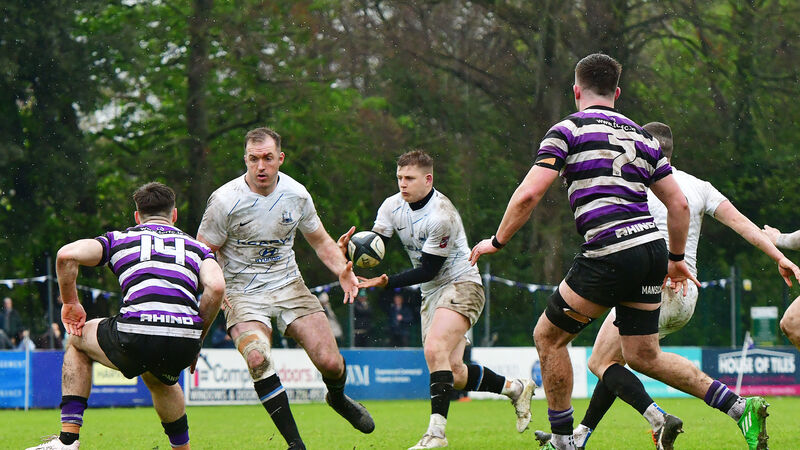 AIL: Cork Con fall to all-conquering Terenure College in semi-final