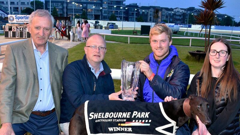 Ballyhimikin Rex produced a brilliant display to win the €7,500 ...