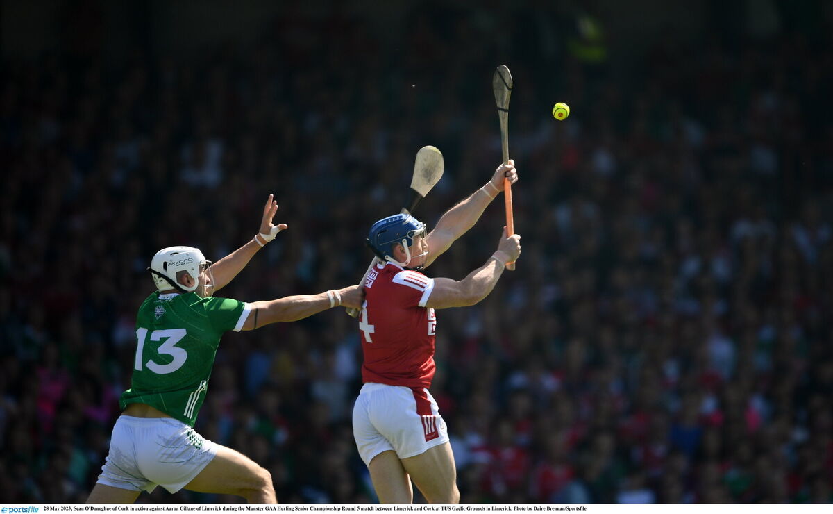 Cork v Limerick TV view: Analysts left exhausted by gripping encounter