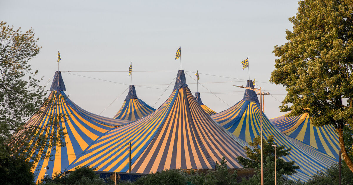 Live At The Marquee: The need-to-knows