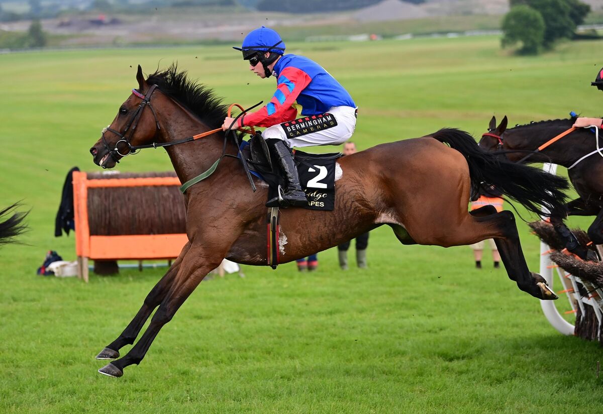 Padraig Butler's racing hobby turning into a great success