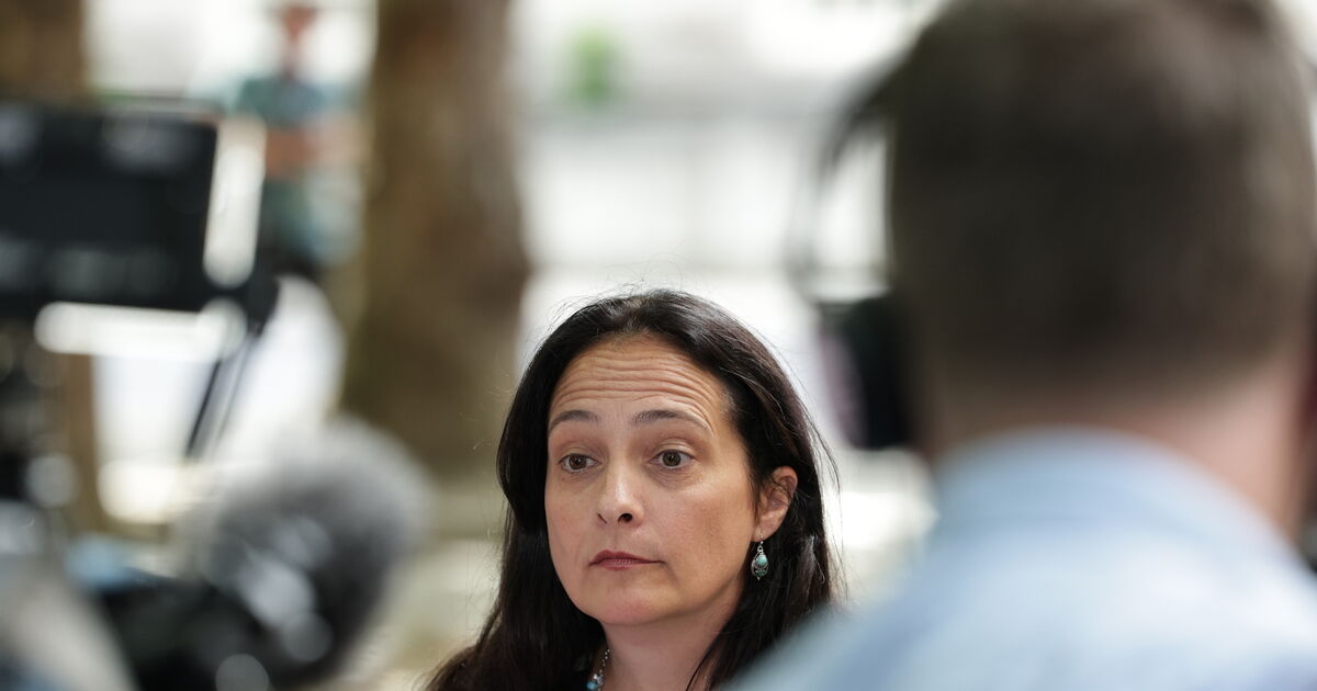 Minister Catherine Martin announces external independent review into ...