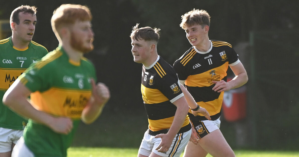 David Hanlon and Mark Lenehan razor sharp as Buttevant outlast Kilmurry ...