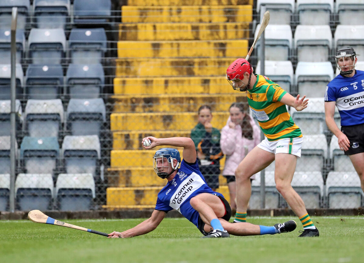 John Crowley wants Sarsfields to build on RedFM Hurling League title